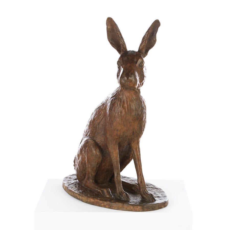 Hare – ELIZABETH O'KANE